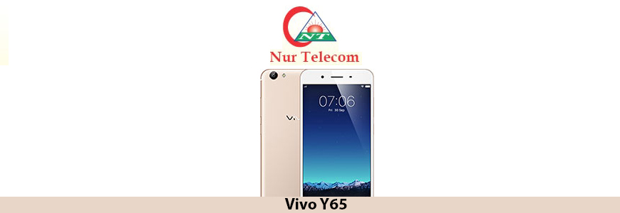 Vivo Y65 Repair and Services - Nur Telecom